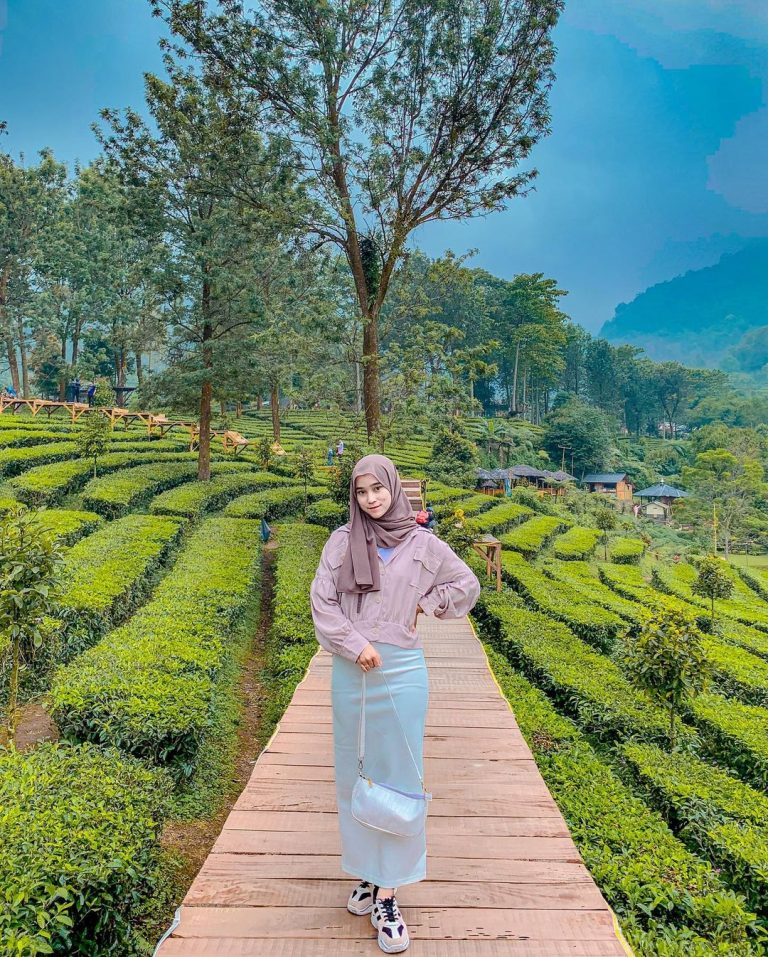 Tea Bridge Gunung Mas Puncak Lokasi Harga Tiket Terbaru - Wisata Milenial